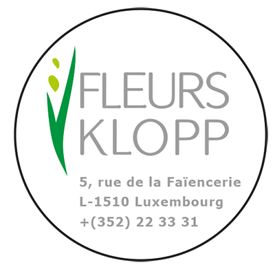 Fleurs Klopp - Fleuriste Luxembourg